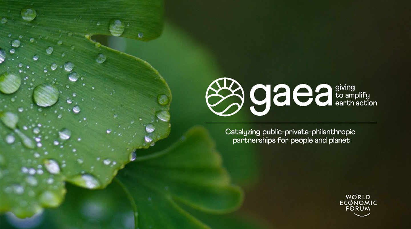 Philea partners with WEF on new initiative to unlock more resources via ...